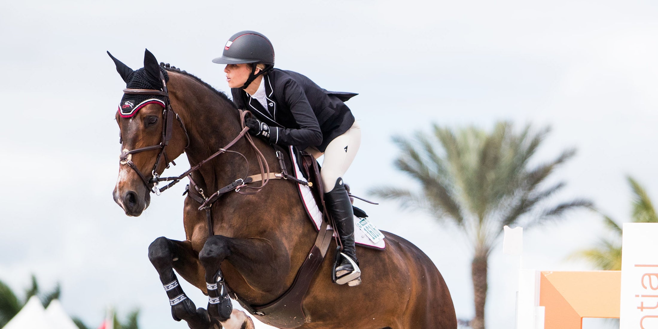 A Conversation with Erin Walker – Helen Jon